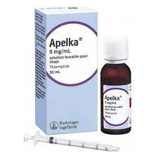 Apelka | MetropoleVet Praha
